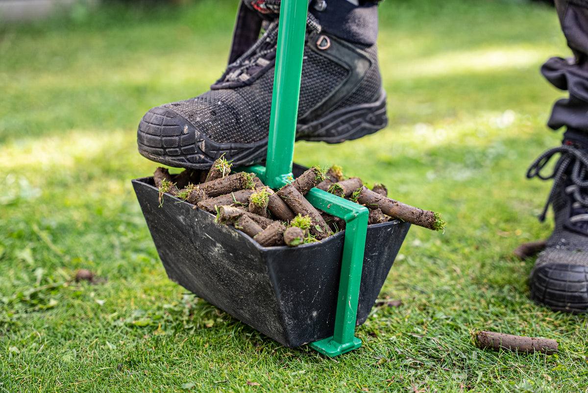 Rasen aerifizieren - dein Rasen wird es dir danken – Der Gartencoach