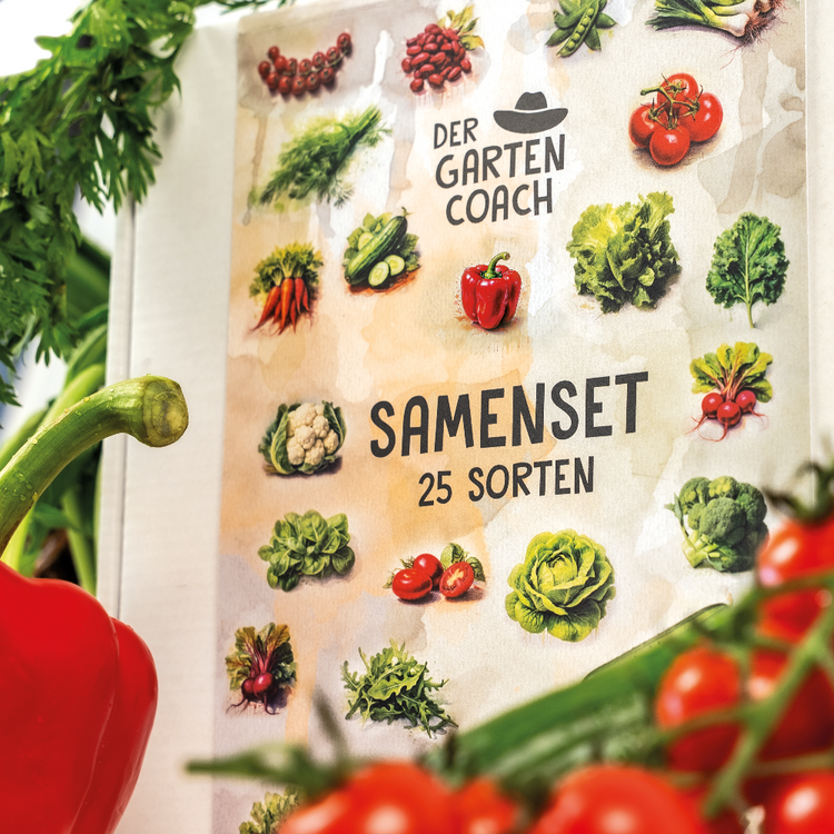 Rasen aerifizieren - dein Rasen wird es dir danken – Der Gartencoach